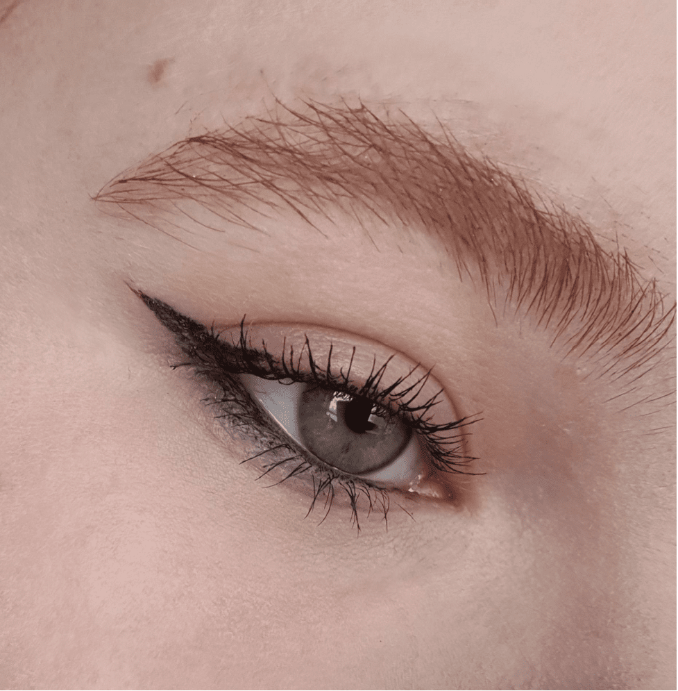 Eyeliner looks – Tips and Tricks to Help You Rock Your Wings – Plant Mother